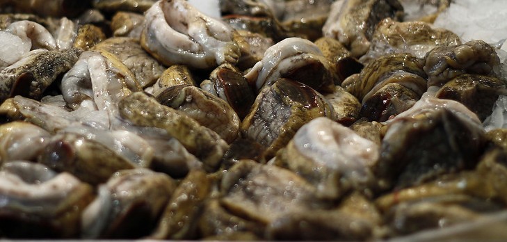 Loco - SUBPESCA. Subsecretaría de Pesca y Acuicultura