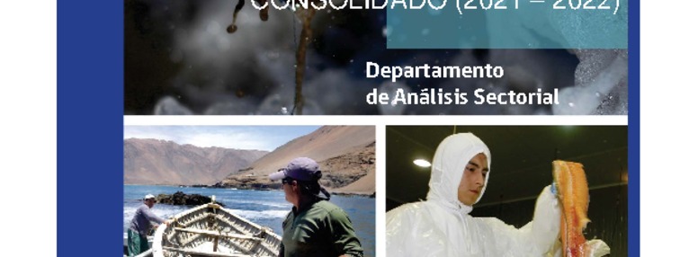 Informe Sectorial Consolidado 2021 - 2022 - SUBPESCA Publicaciones y Estudios